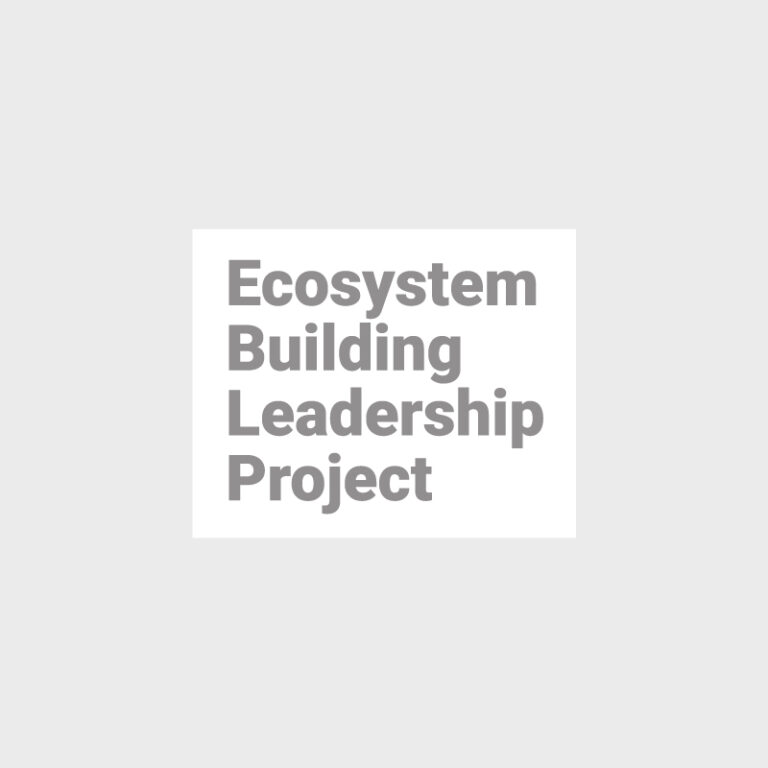 Ecosystem Building Leadership Network - Community Initiatives